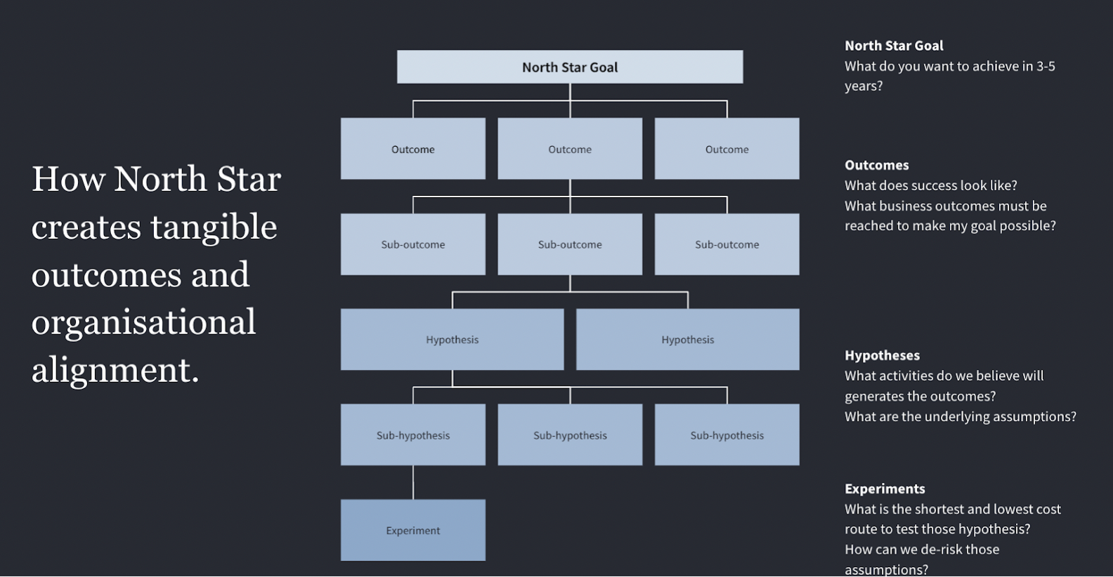 The Crucial Role of the North Star Framework in Financial Institutions